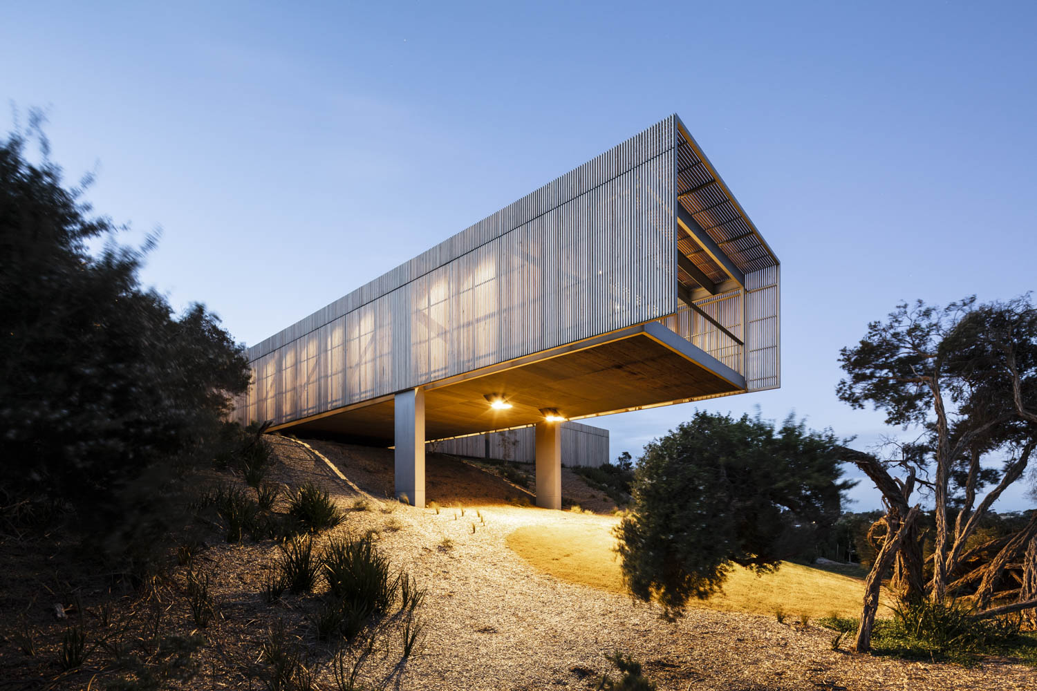 Photographer Tom Ferguson Architects His Own Career in Australia and ...