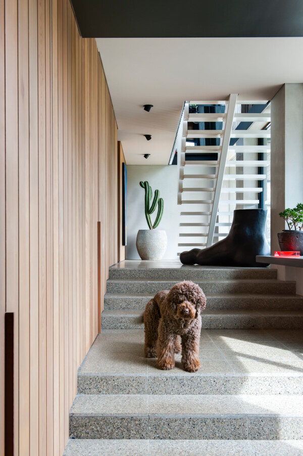 Nicole England Combines Her Passion for Architecture & Dogs With Her ...