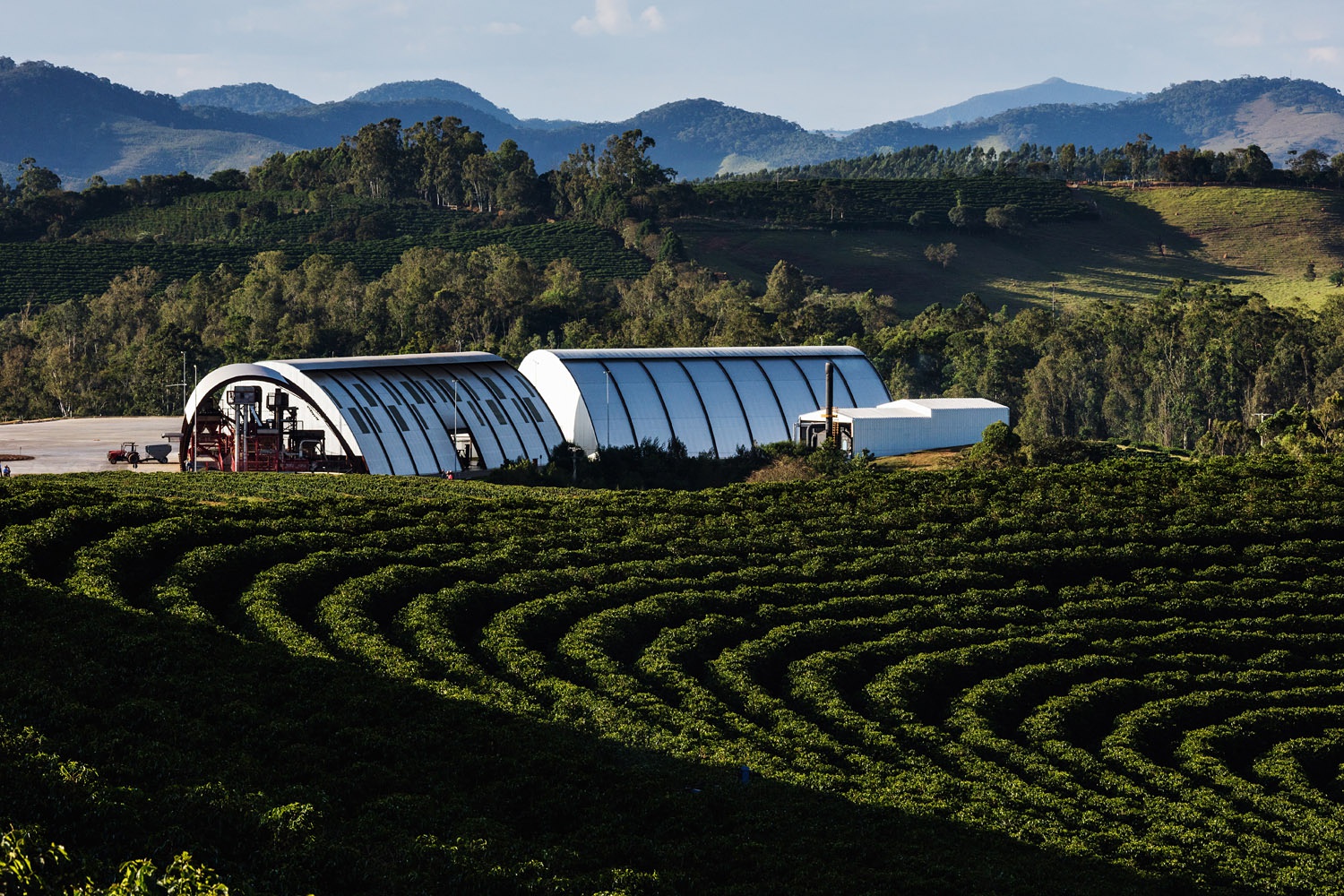 Explore a 4,500 hectare Brazilian Coffee Farm With Photographer Nelson ...
