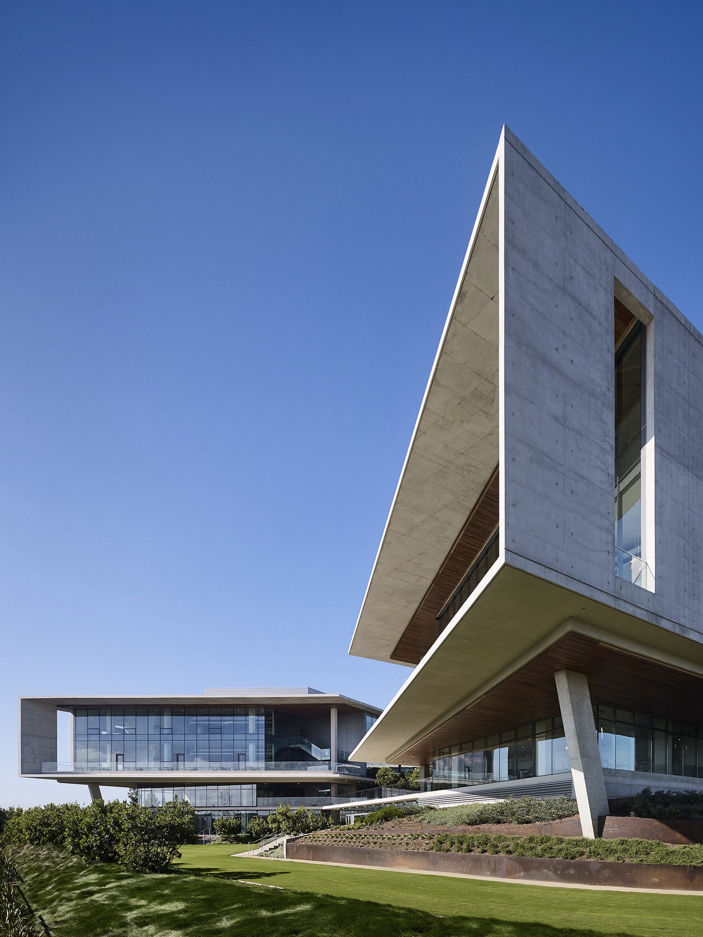 Hall, Merrick, and McCaugherty on the Craft and Business of ...