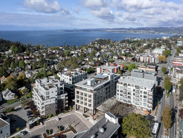 Tony Colangelo Connects a Personal Project to a Commissioned Project ...