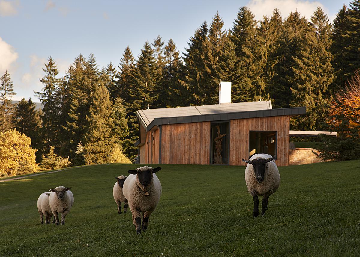 Photographing A House Over Two Seasons, Jiří Alexander Bednář Gives Us ...