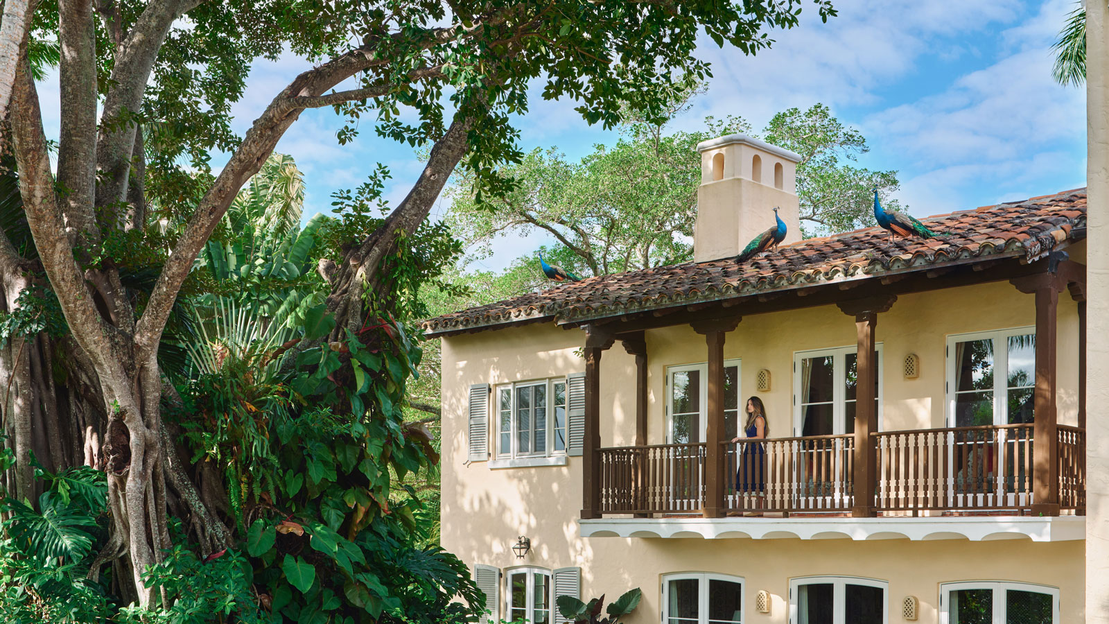 "I Had to Sell the Sunshine and the Lifestyle as Much as the ...